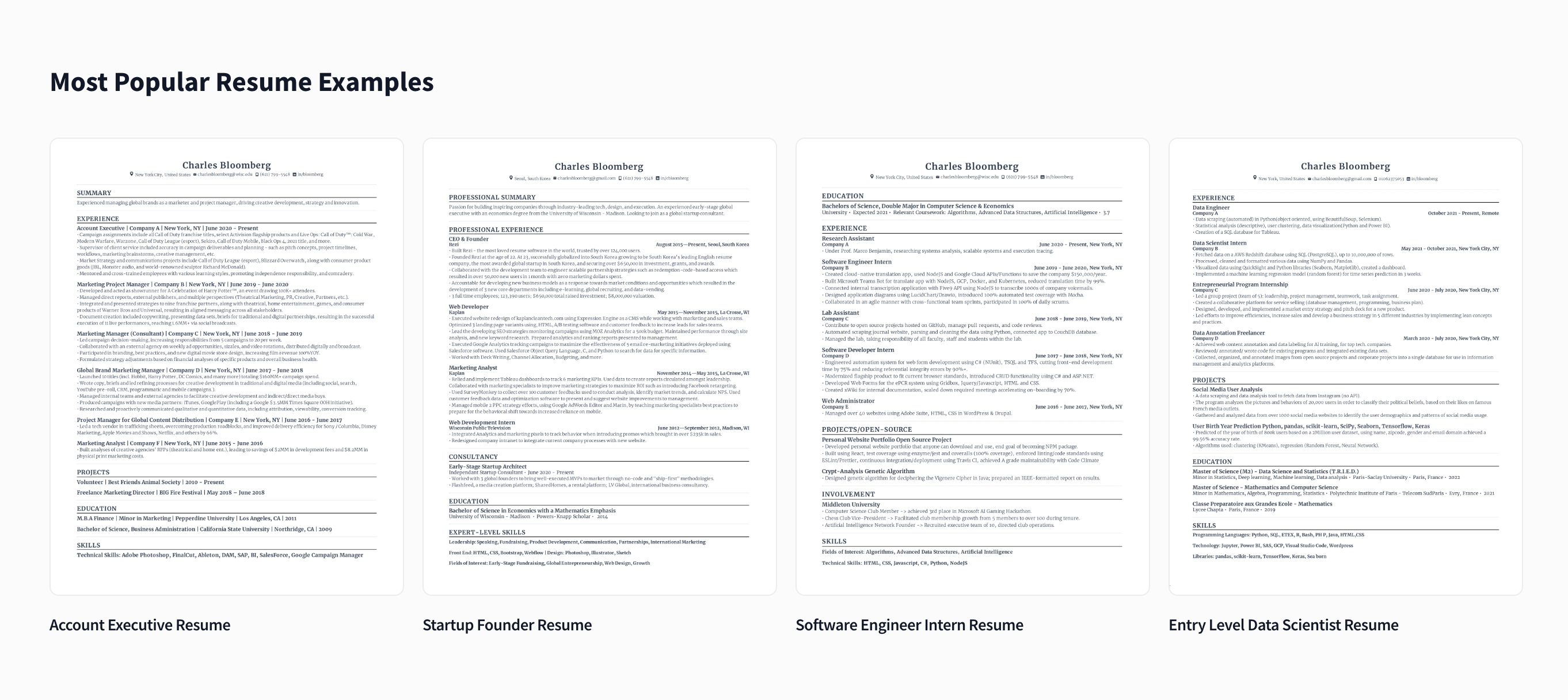 Rezi User Docs - Resume Examples